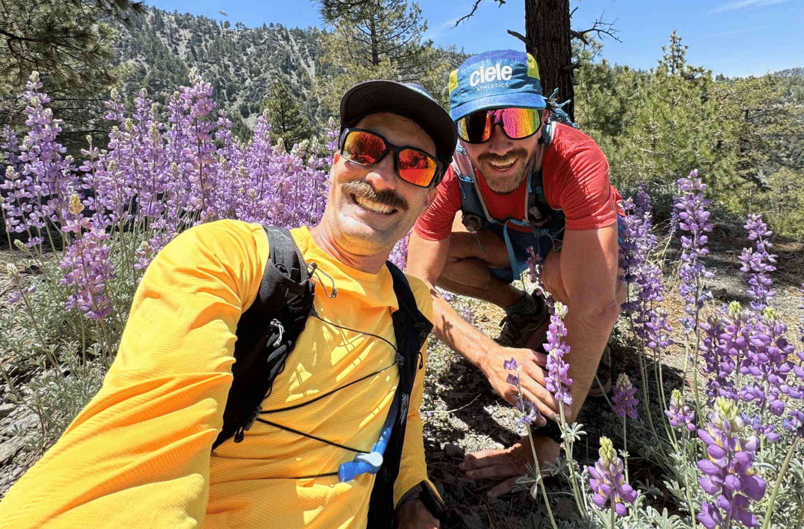 Between Two Pines Takes on Western States » Trailhead Media from ...